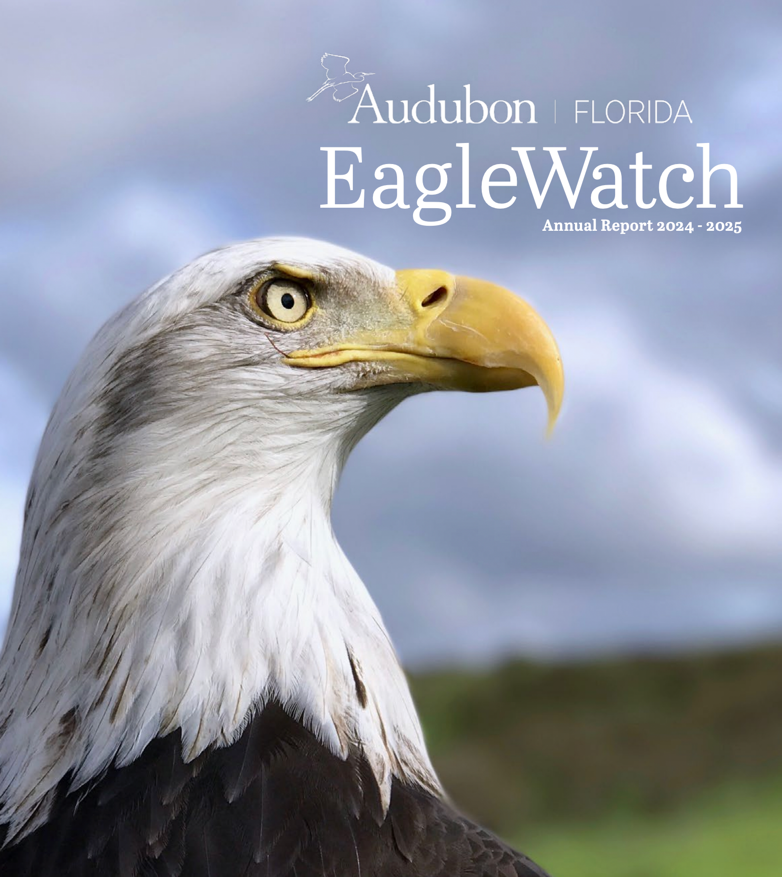 EagleWatch | Audubon